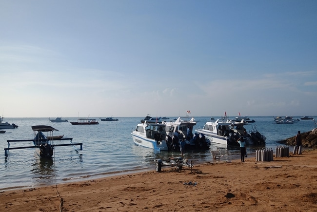 Sanur | MAX DIVE Bali